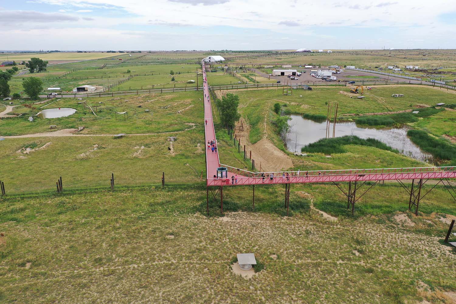 The Wild Animal Sanctuary: Colorado's Home for Second Chances