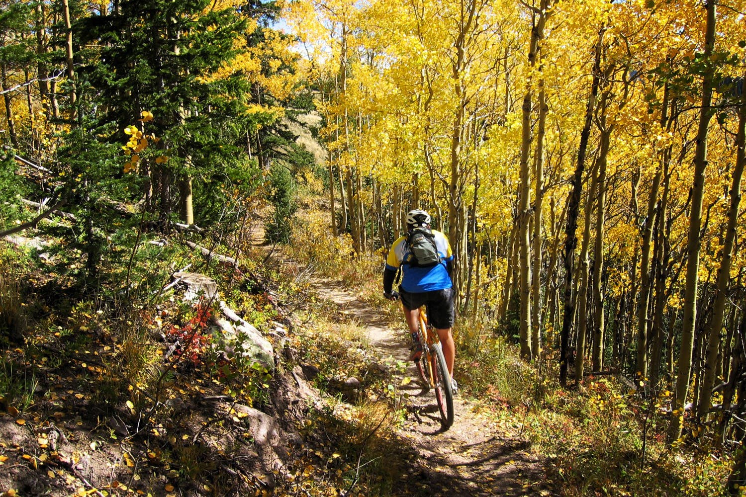 Alamosa: 5 Things to Do Next to Great Sand Dunes National Park